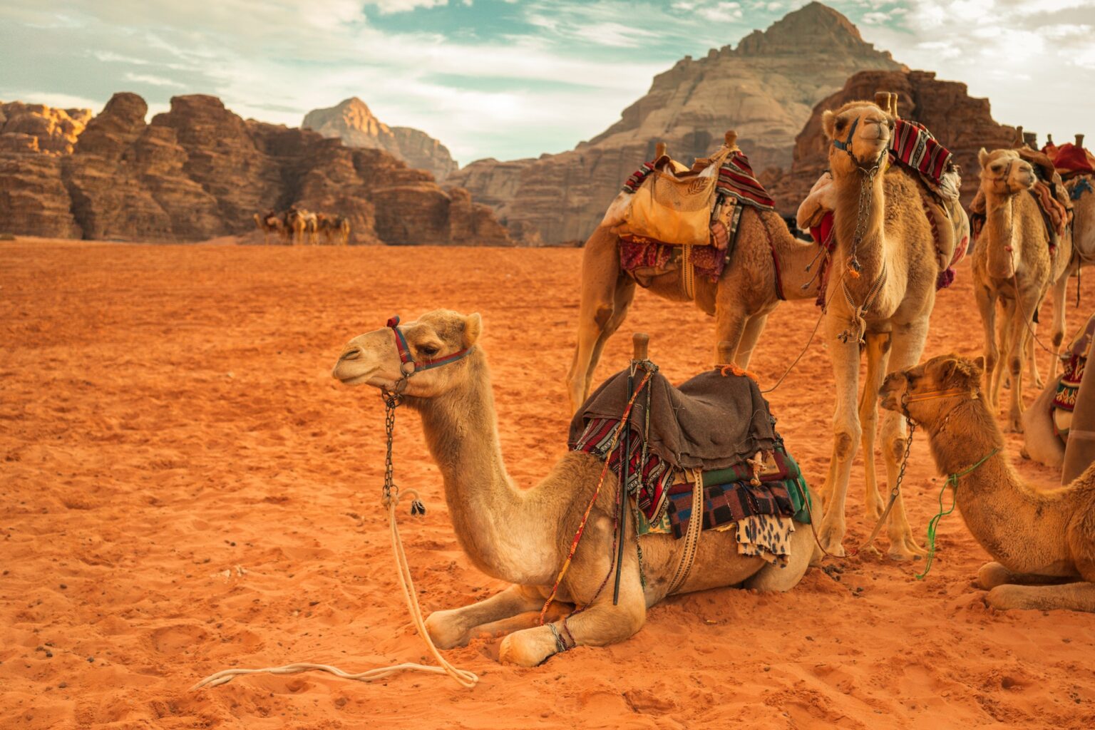ANIMALES DEL DESIERTO » Lista, Ejemplos y Características