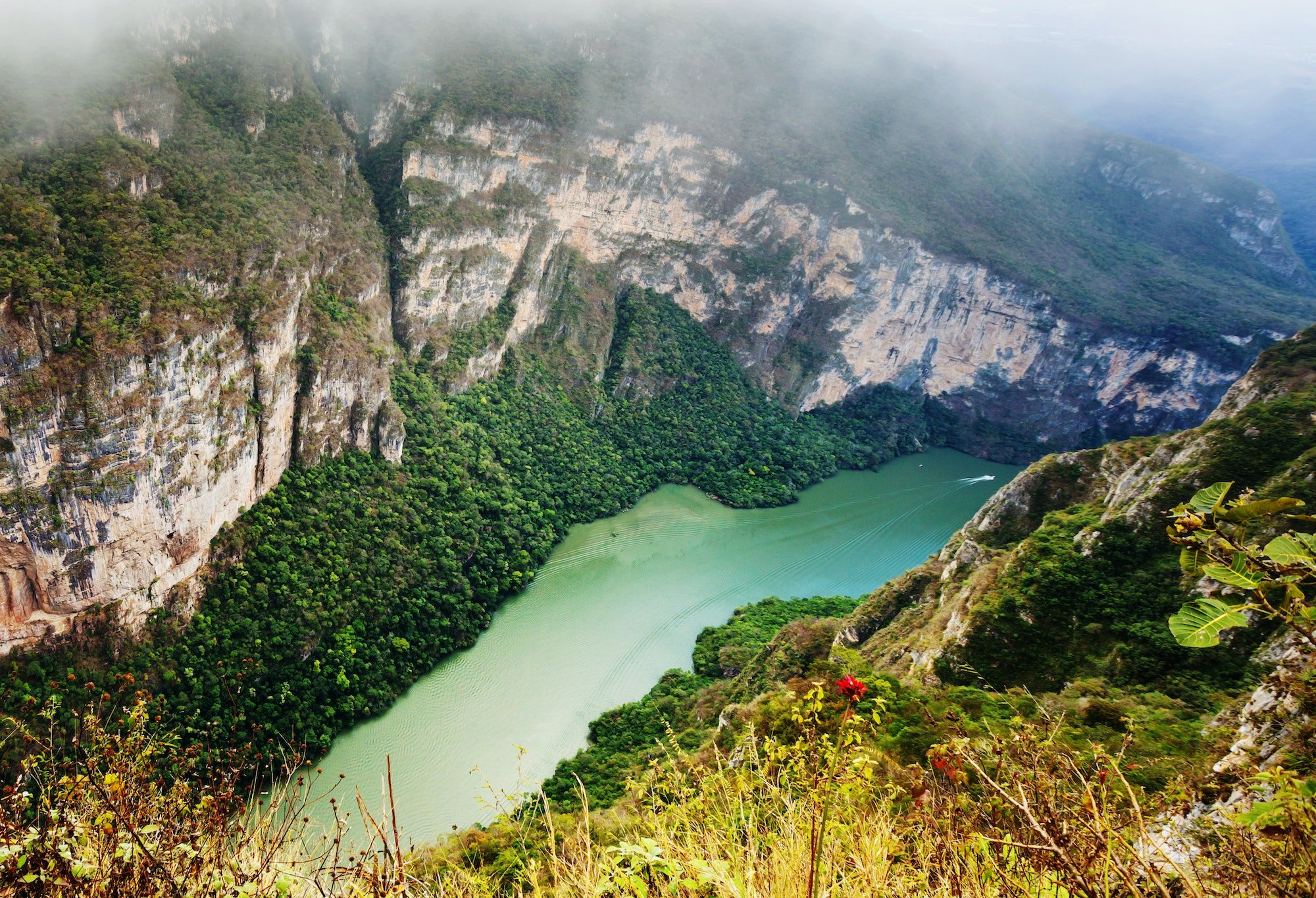 Medio Ambiente: Definición e importancia del medio que nos rodea