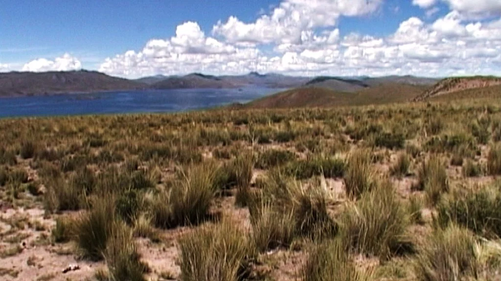 Región Selva: Un destino que no puedes dejar de conocer